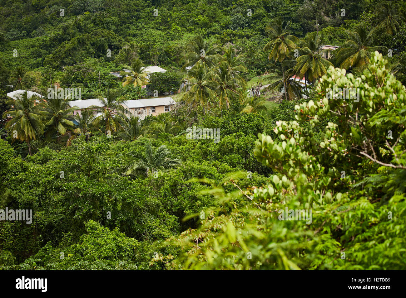 Barbados atlantic coast village rural landscape Village typical local ...