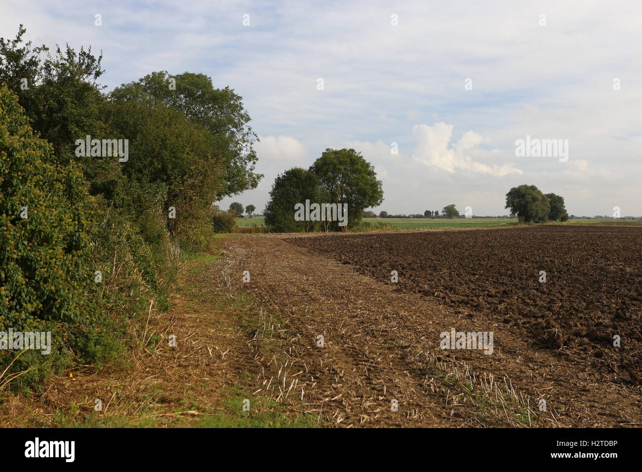 The Fens - Ploughed field in Lincolnshire Stock Photo - Alamy