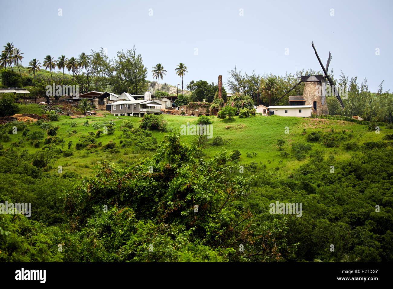 Barbados Morgan Lewis Windmill only intact sugar mill landscape ...