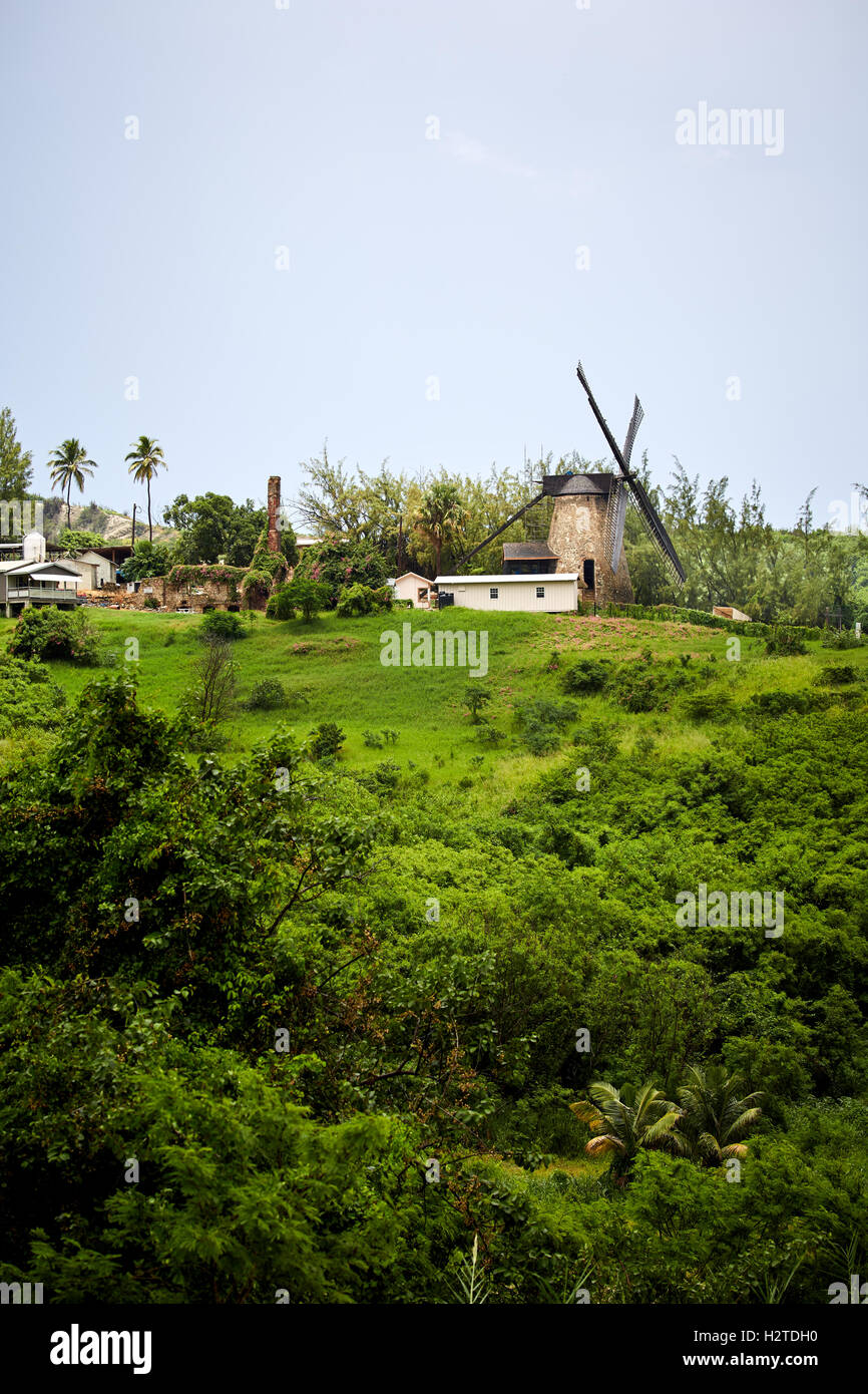 Barbados Morgan Lewis Windmill only intact sugar mill landscape ...