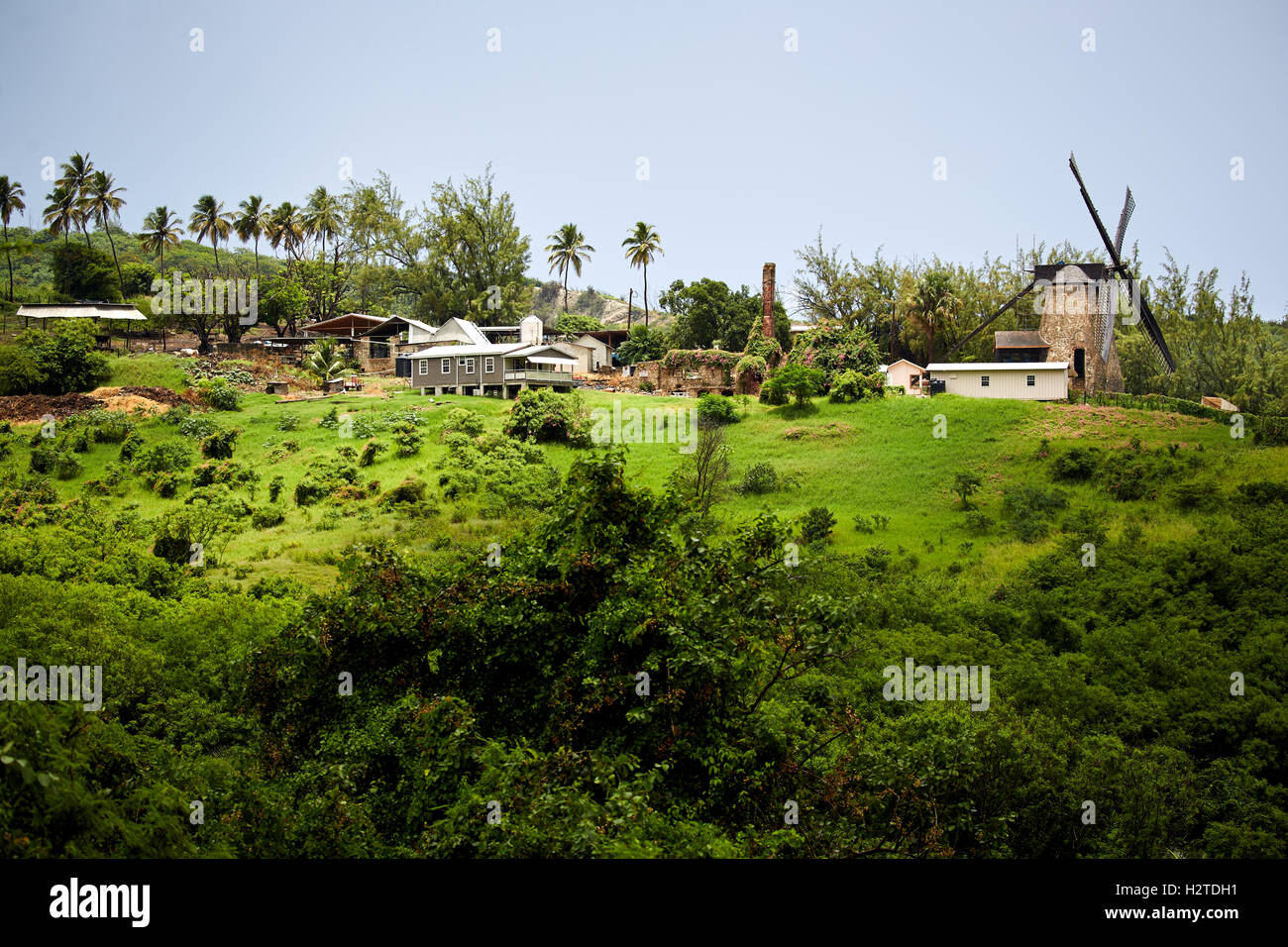 Barbados Morgan Lewis Windmill only intact sugar mill landscape ...