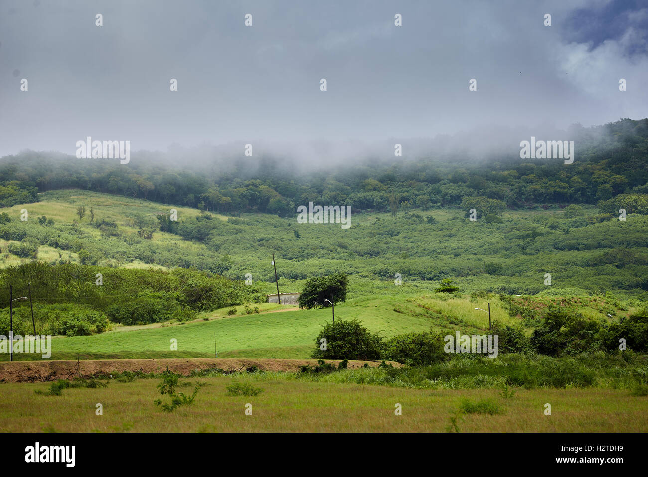 Barbados hills mist landscape typical Scotland district north of the ...
