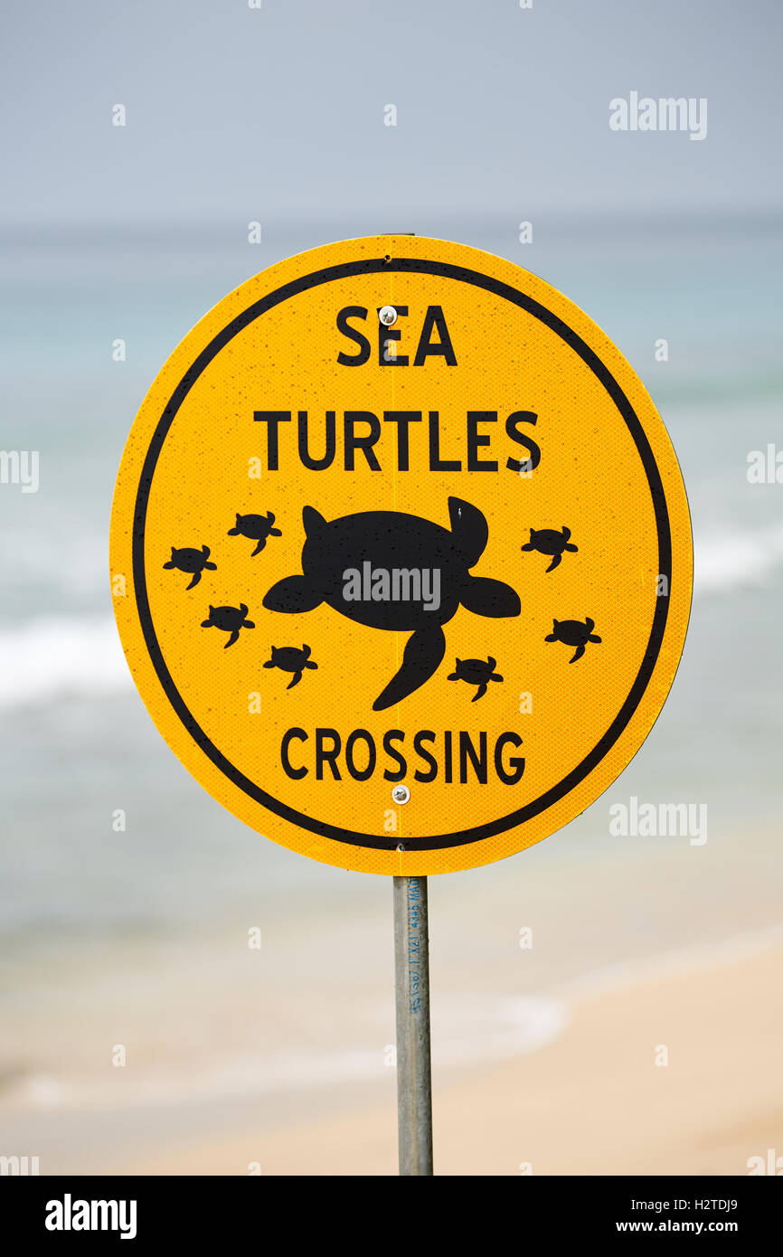 Barbados sea turtles crossing sign signage warning highway code ...