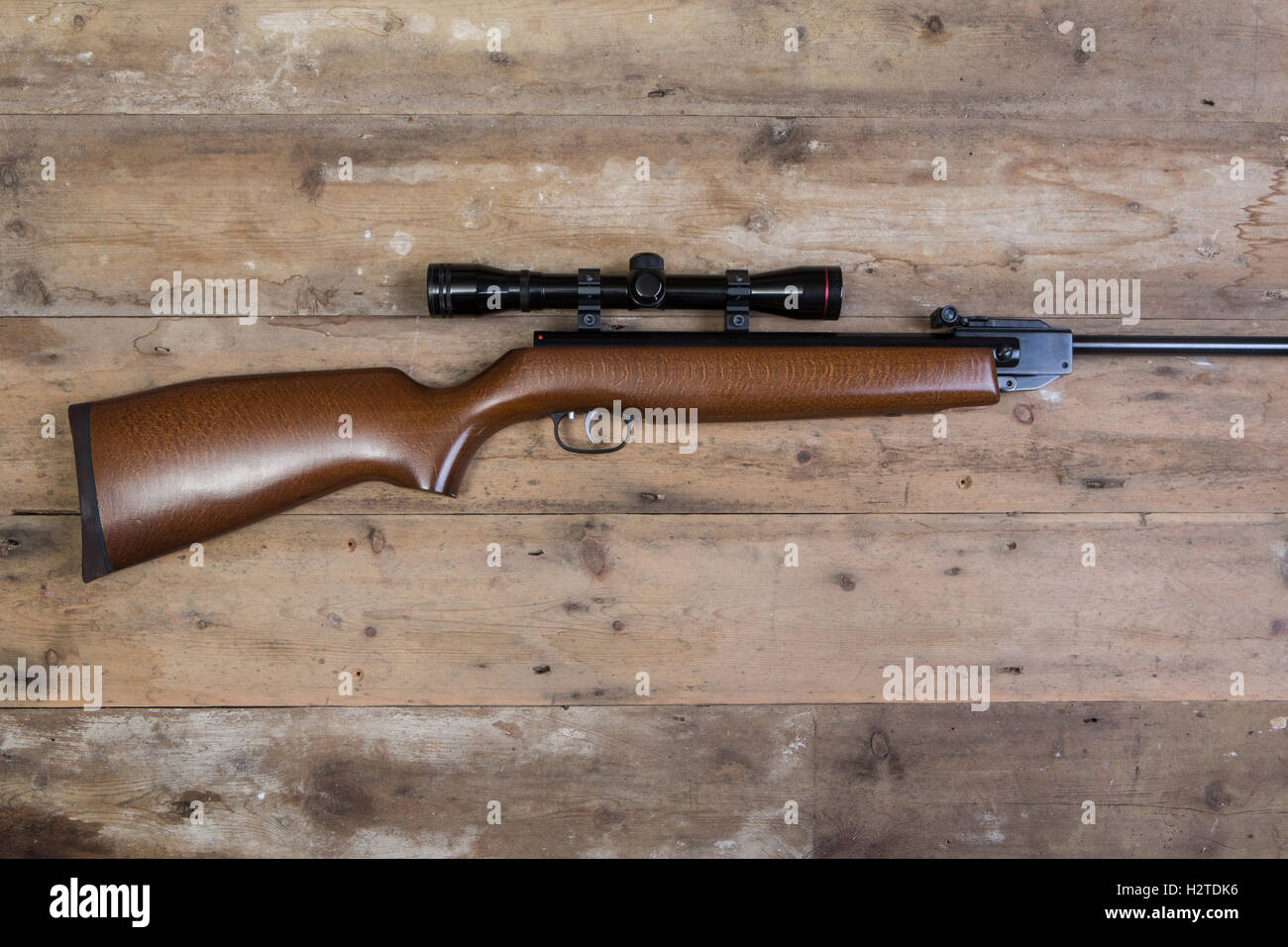Air Rifle with a Telescopic Sight Stock Photo - Alamy