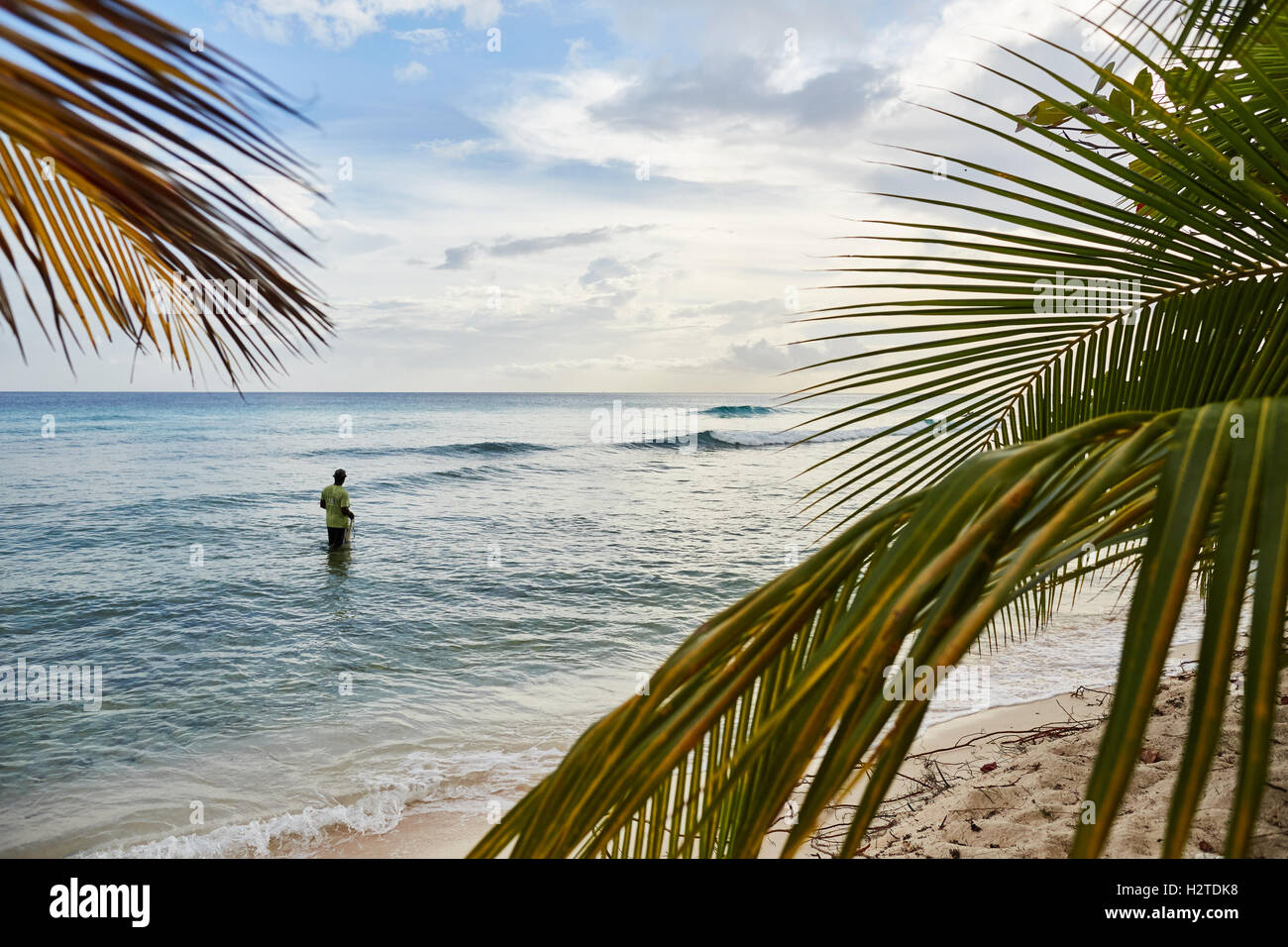 Barbados fisherman skinning bike Hastings beach Savannah Hotel native ...