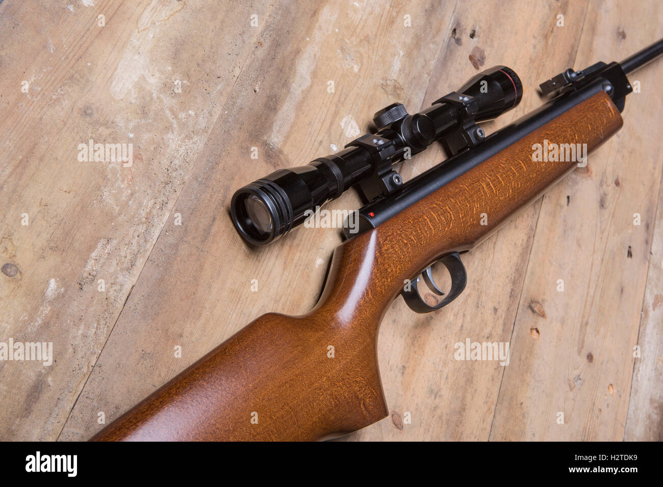 Air Rifle with a Telescopic Sight Stock Photo - Alamy