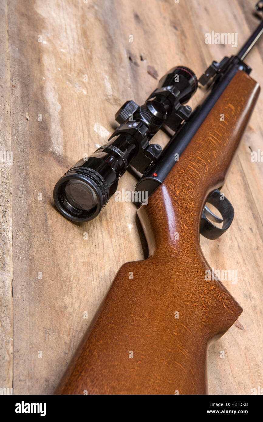 Air Rifle with a Telescopic Sight Stock Photo - Alamy