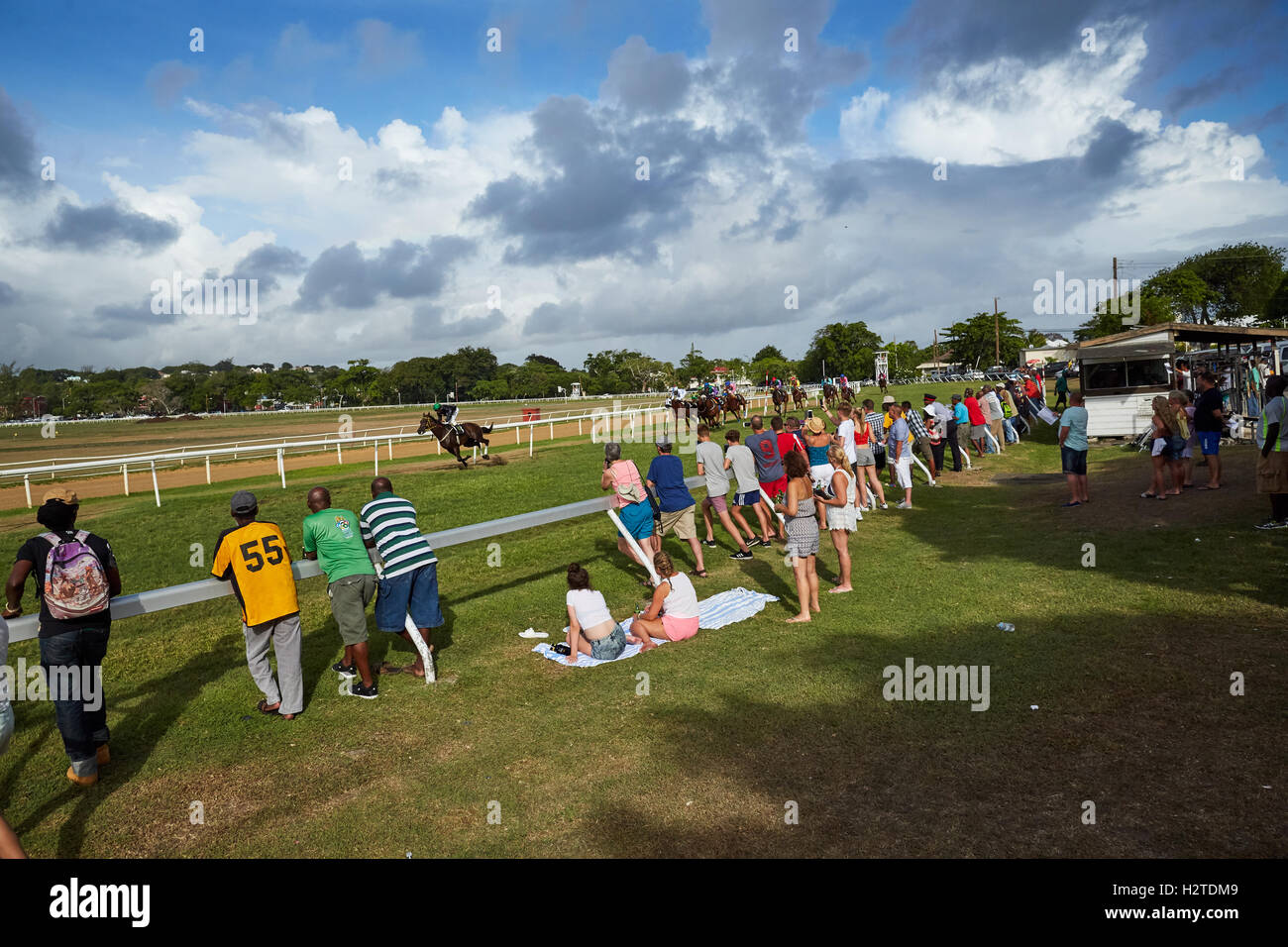 Barbados Bridgetown Garrison Savannah Racetrack racecourse course horse ...