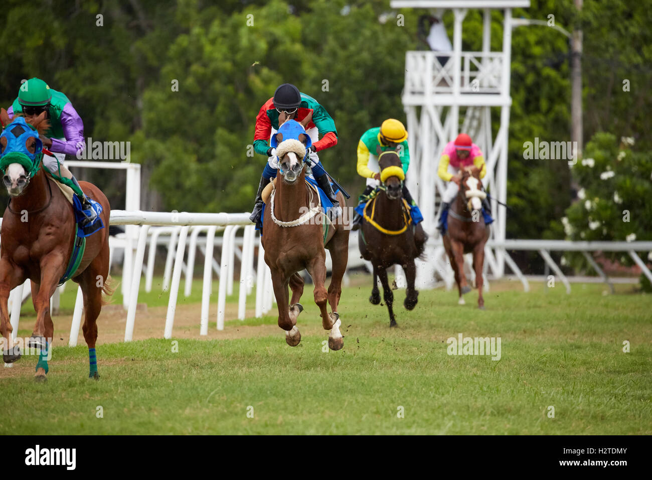 Horse racing track at the garrison savannah barbados hi-res stock ...