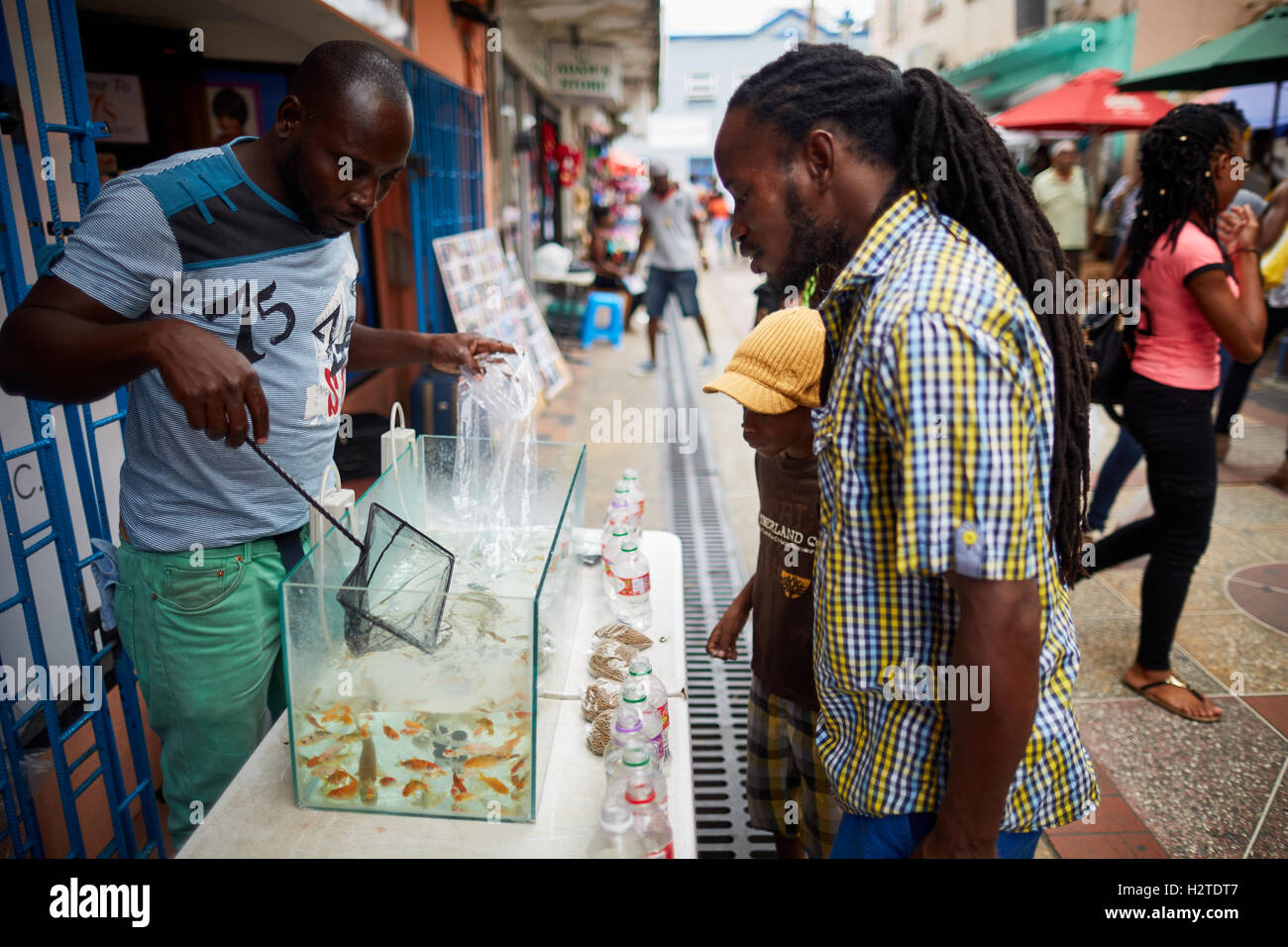 Fish market ghetto hi-res stock photography and images - Alamy
