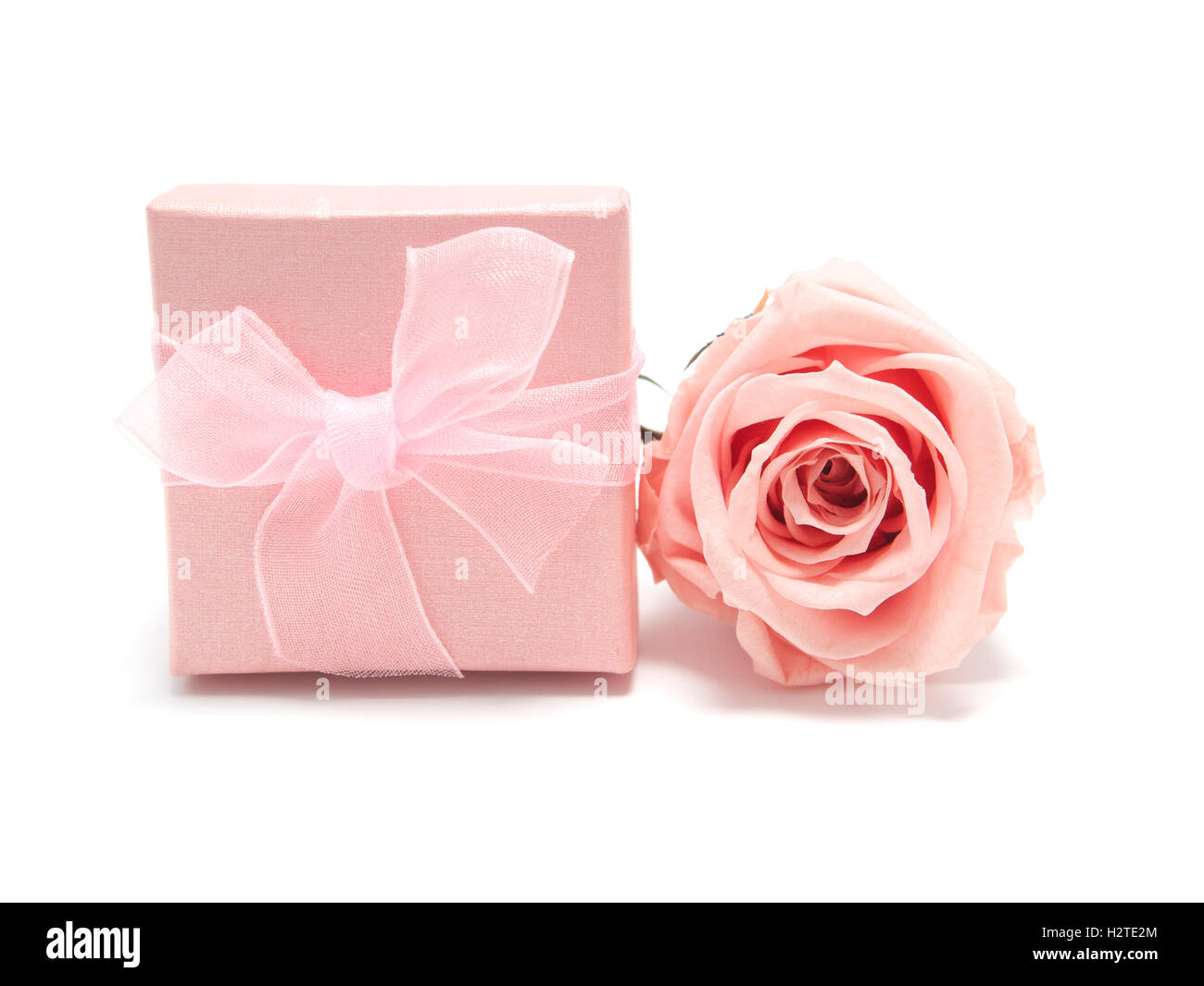 Pink rose with gift box on white background Stock Photo - Alamy