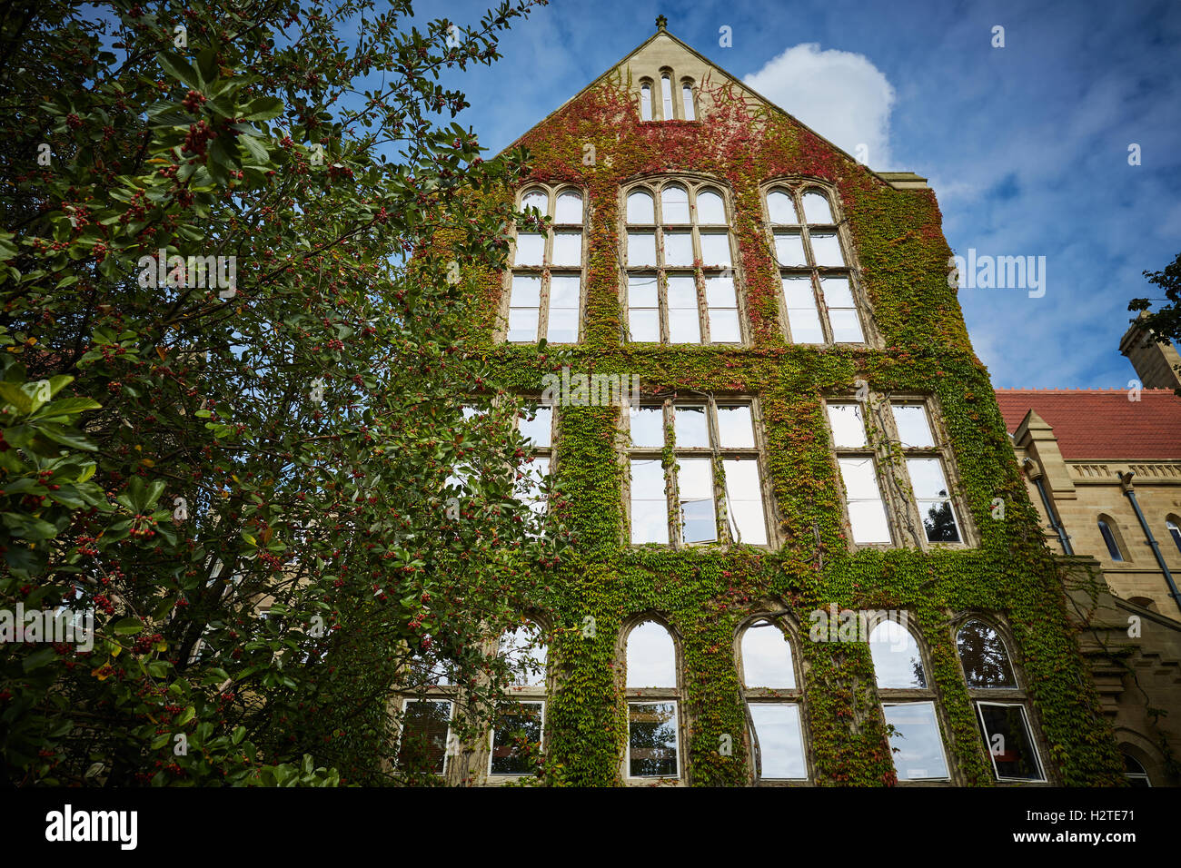 Manchester University historic buildings Architecture quad quadrangle ...