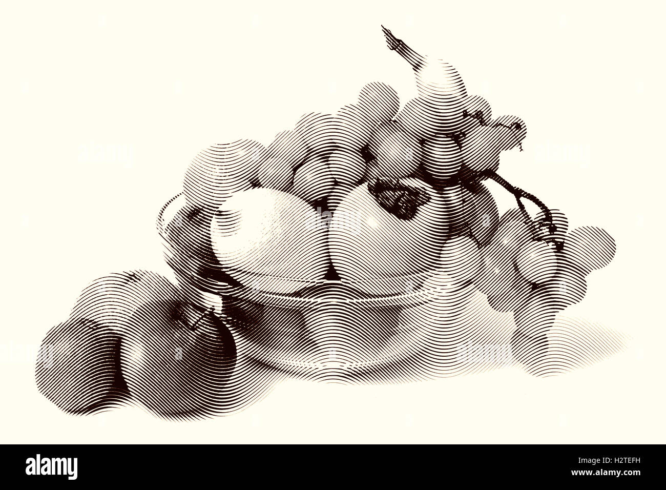 Fruit glosyy set Stock Photo - Alamy