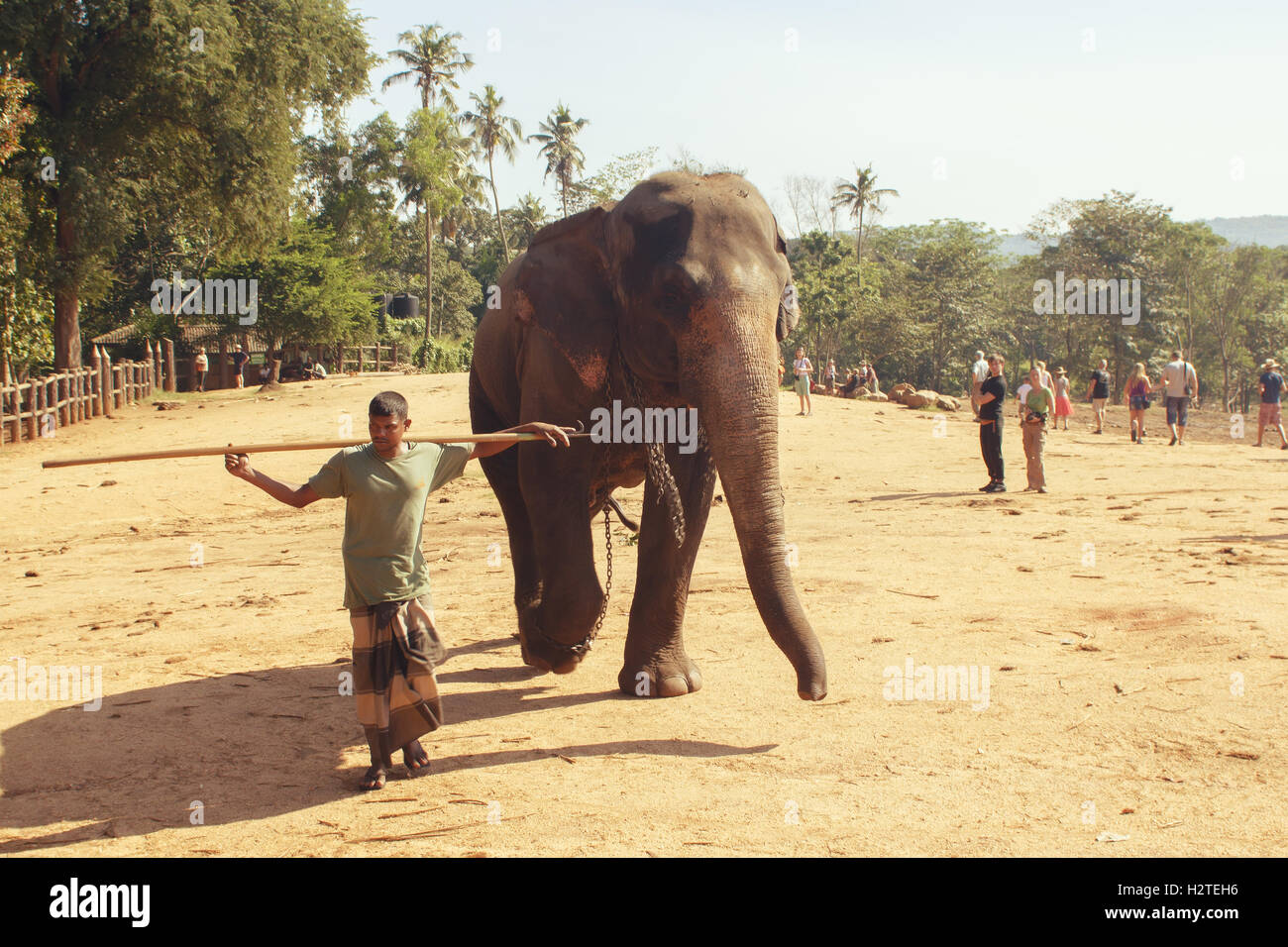 African elephant man hi-res stock photography and images - Alamy