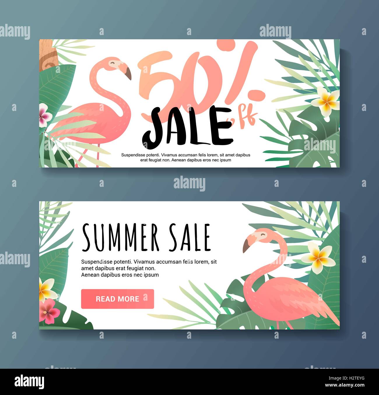 Bright flyer with flamingos Stock Vector Image & Art - Alamy