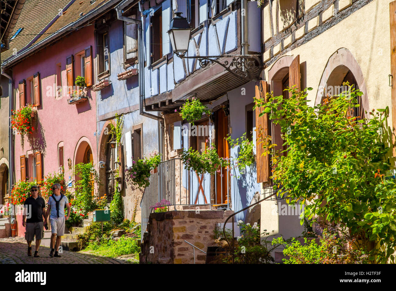 Colourful half-timbered traditional house in Eguisheim wine route ...