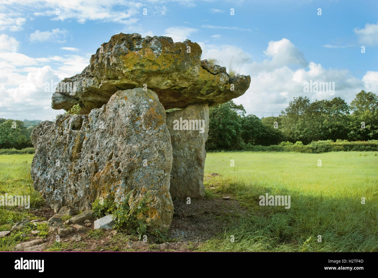 Druid celtic hi-res stock photography and images - Alamy