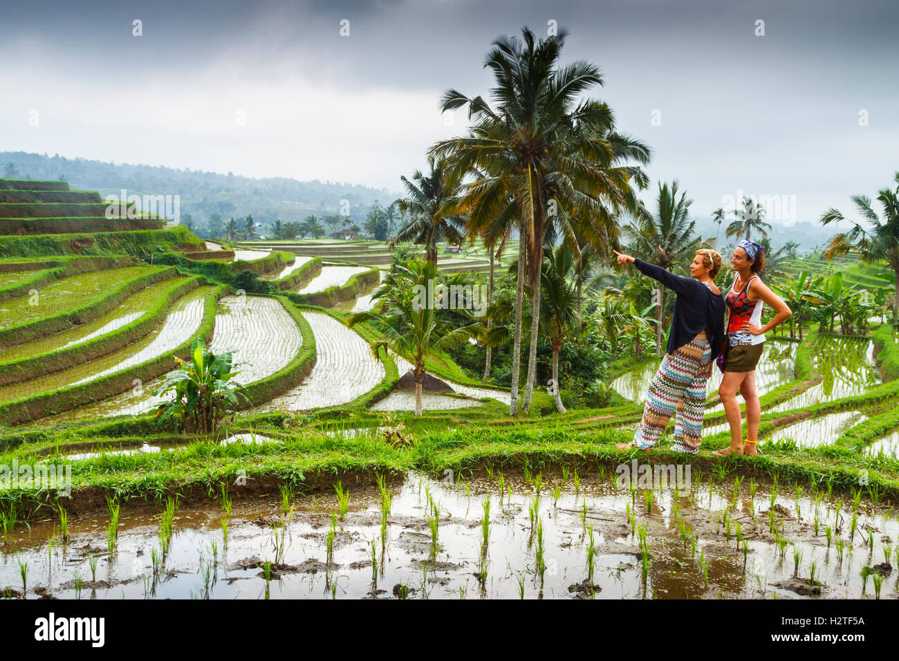Indonesia people hi-res stock photography and images - Alamy