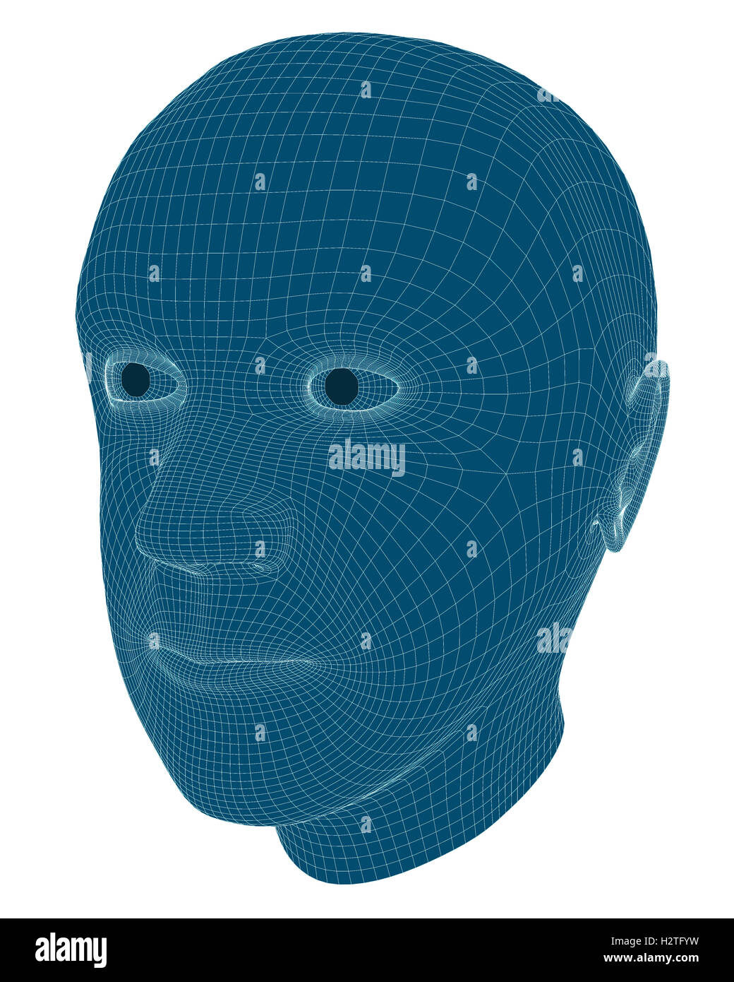 Human head and wire frame hi-res stock photography and images - Alamy