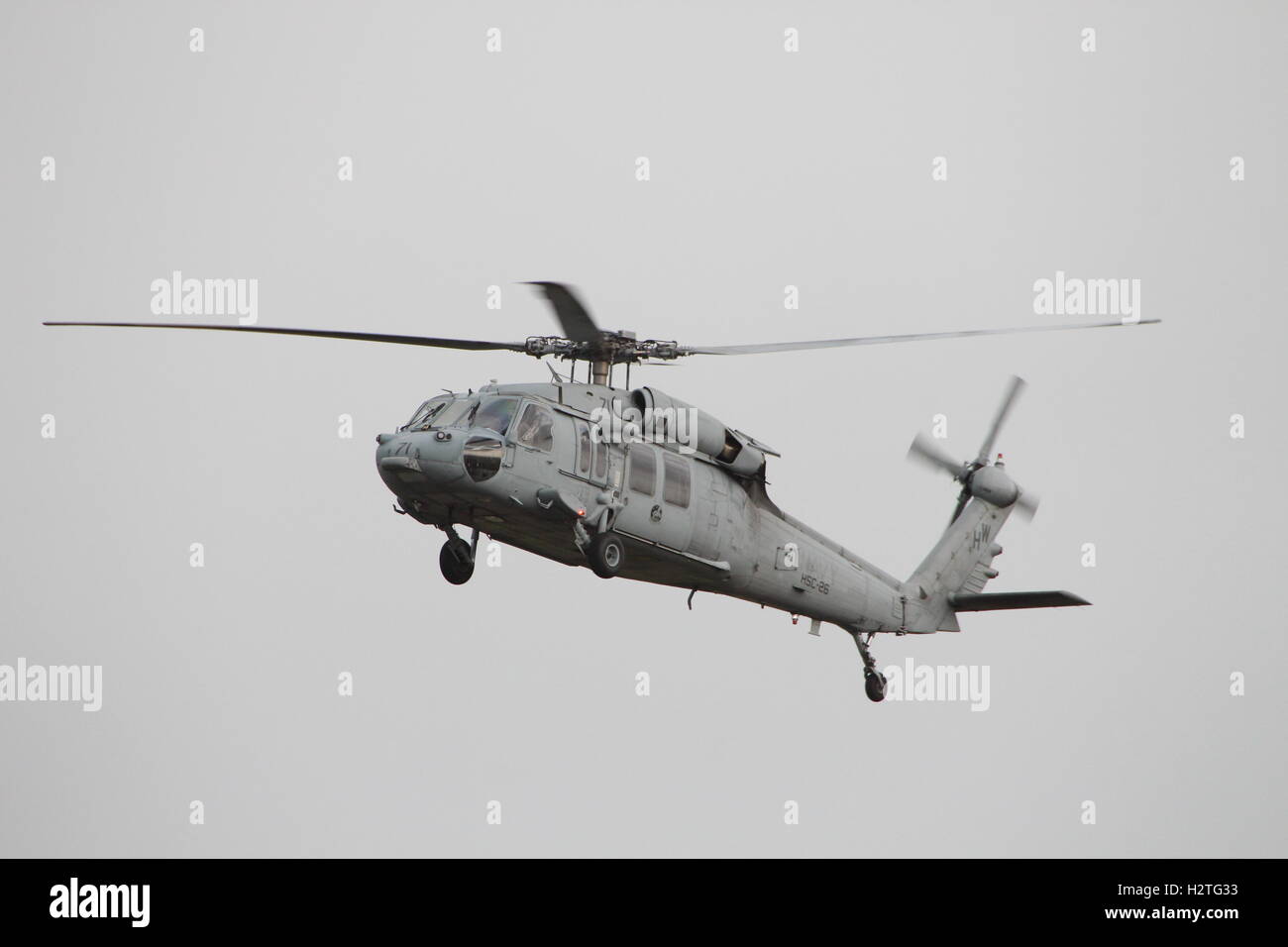 Knighthawk hi-res stock photography and images - Alamy