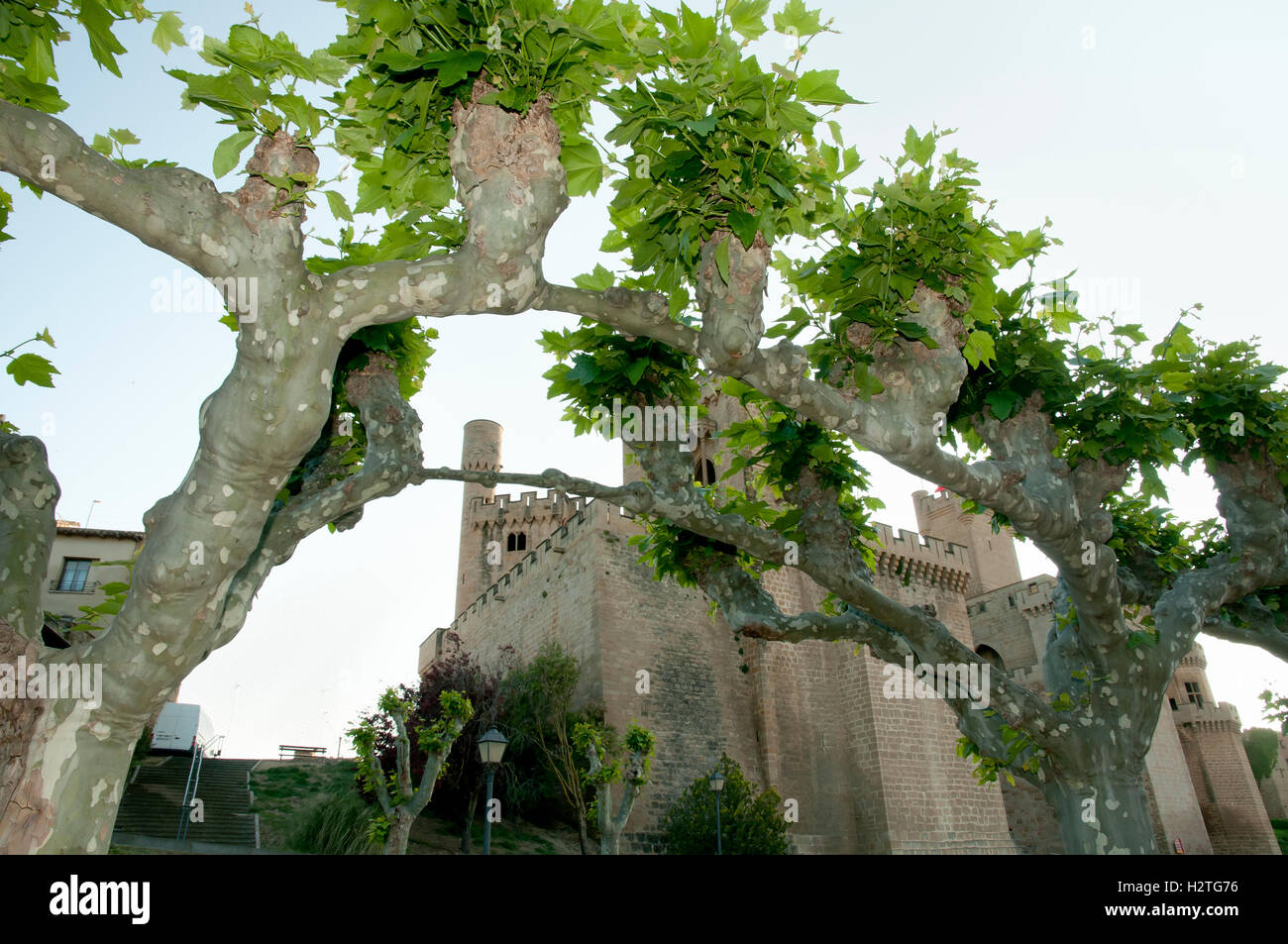 Inosculation hi-res stock photography and images - Alamy