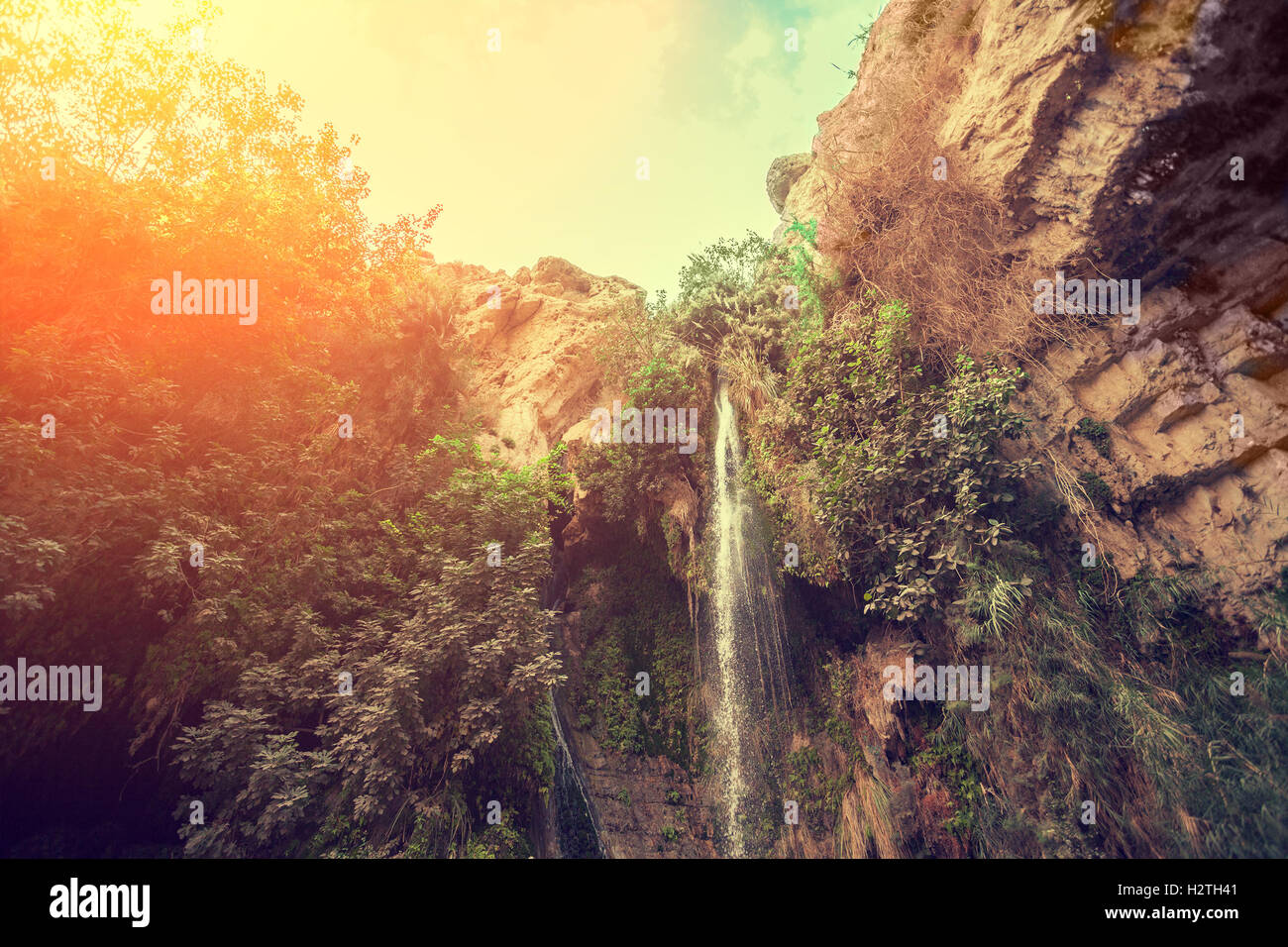Davids waterfall hi-res stock photography and images - Alamy