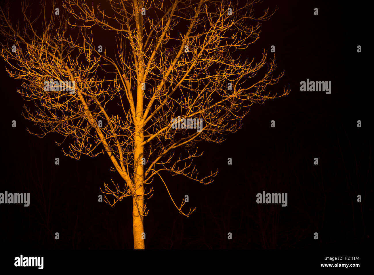 Sodium street light hi-res stock photography and images - Alamy