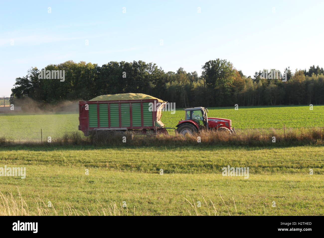 Fast moving tractor with a trailer full of freshly harvested corn. Seen ...
