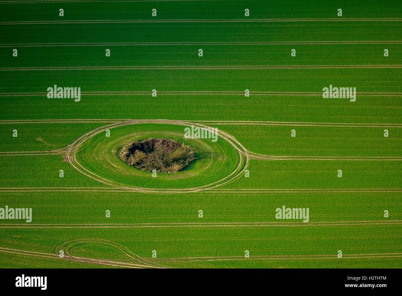 Green field aerial hi-res stock photography and images - Alamy