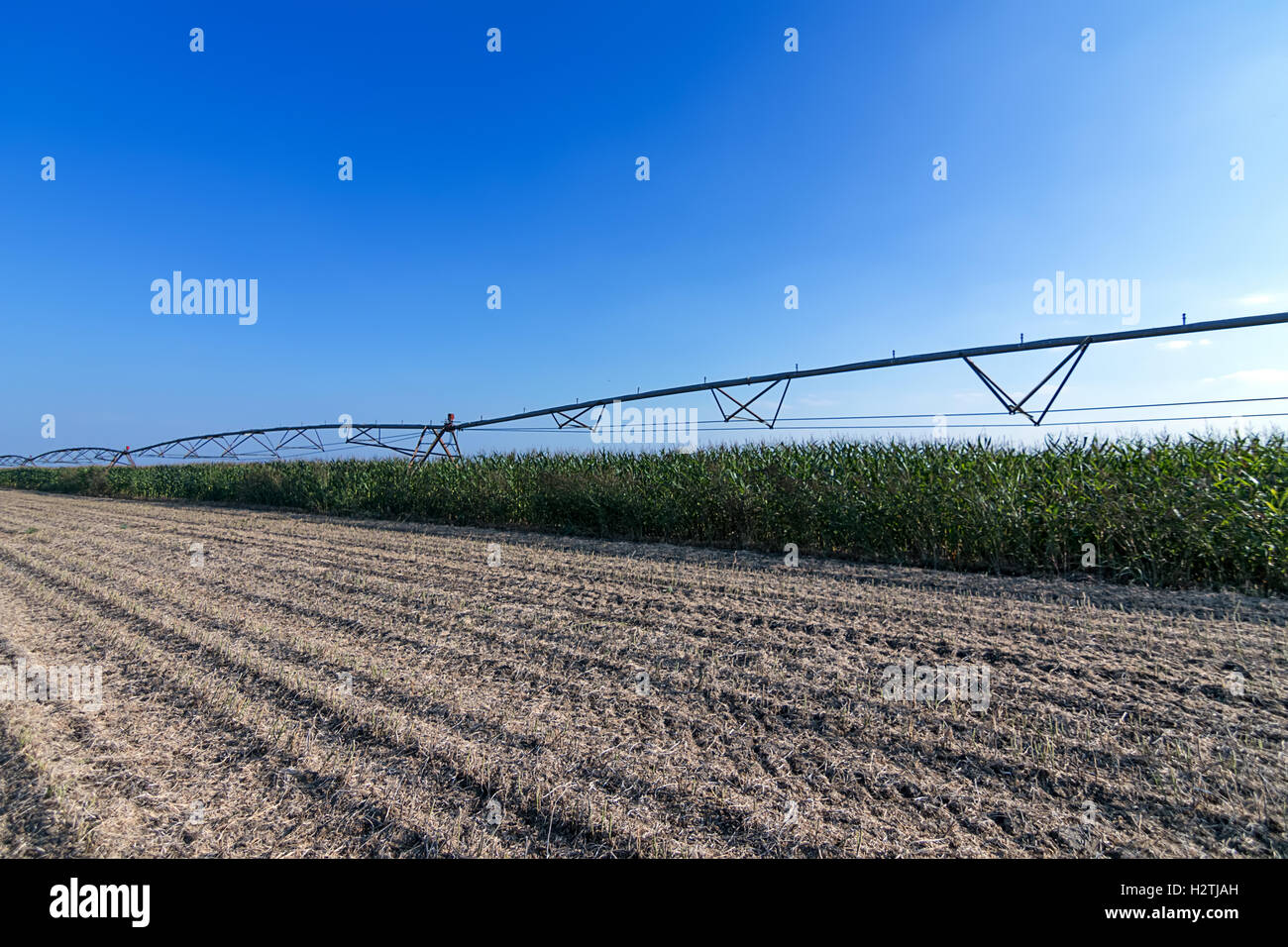 Corn field and irrigation equipment Stock Photo - Alamy