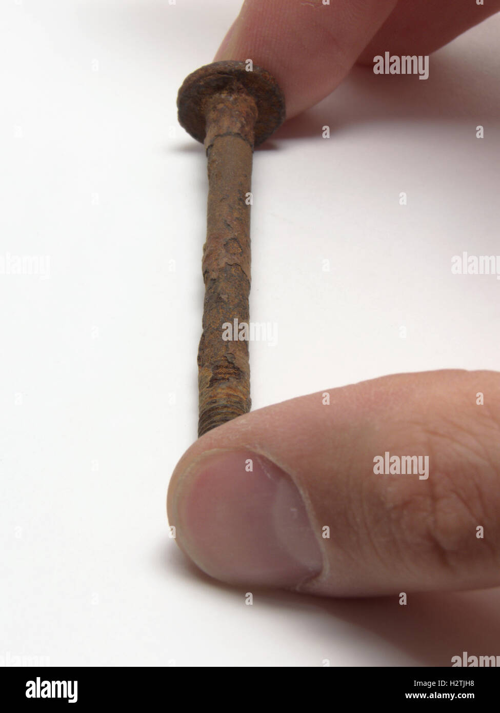 Rusty screw with a pan head. Sandwiched between the fingers, on white ...