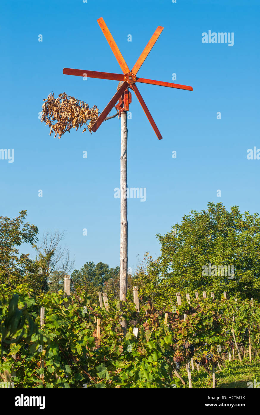 Traditional wind rattle for scaring birds in vineyard, Slovenia Stock ...