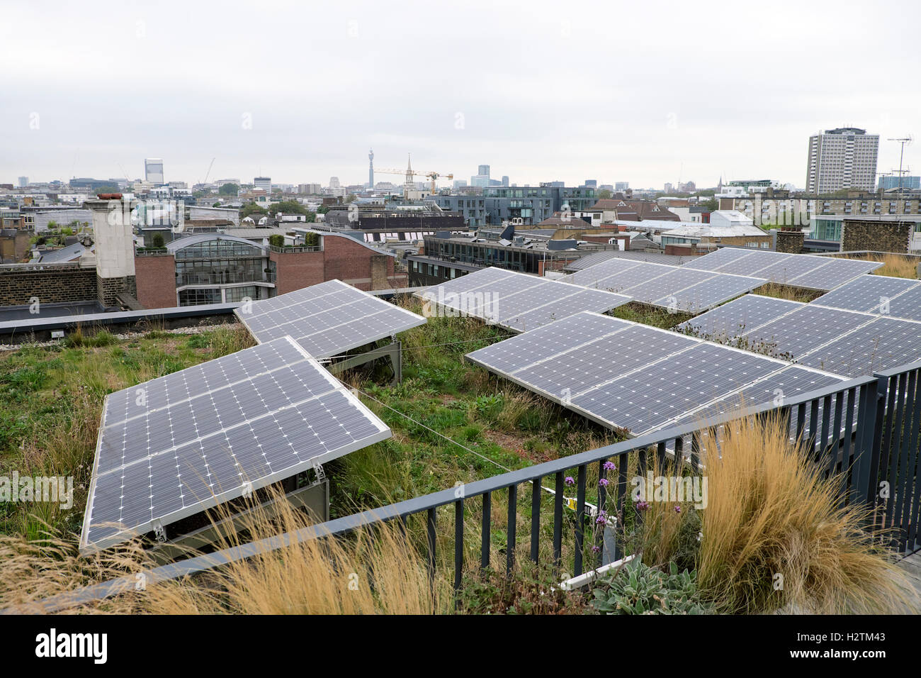 Solar panels on the rooftop garden at AHMM architects office at "Open ...