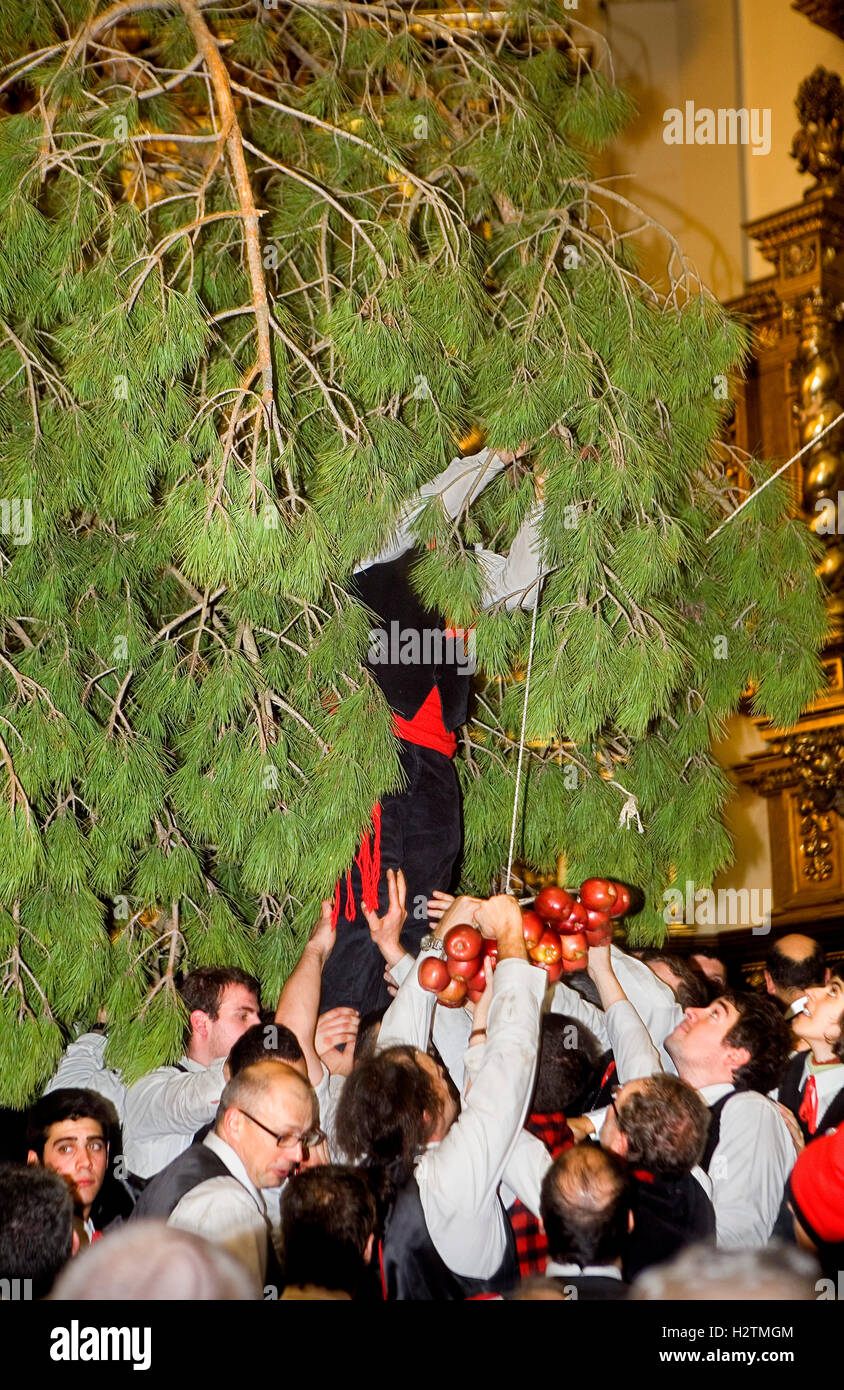 Pine festival, Church of Centelles, Barcelona province, Catalonia ...