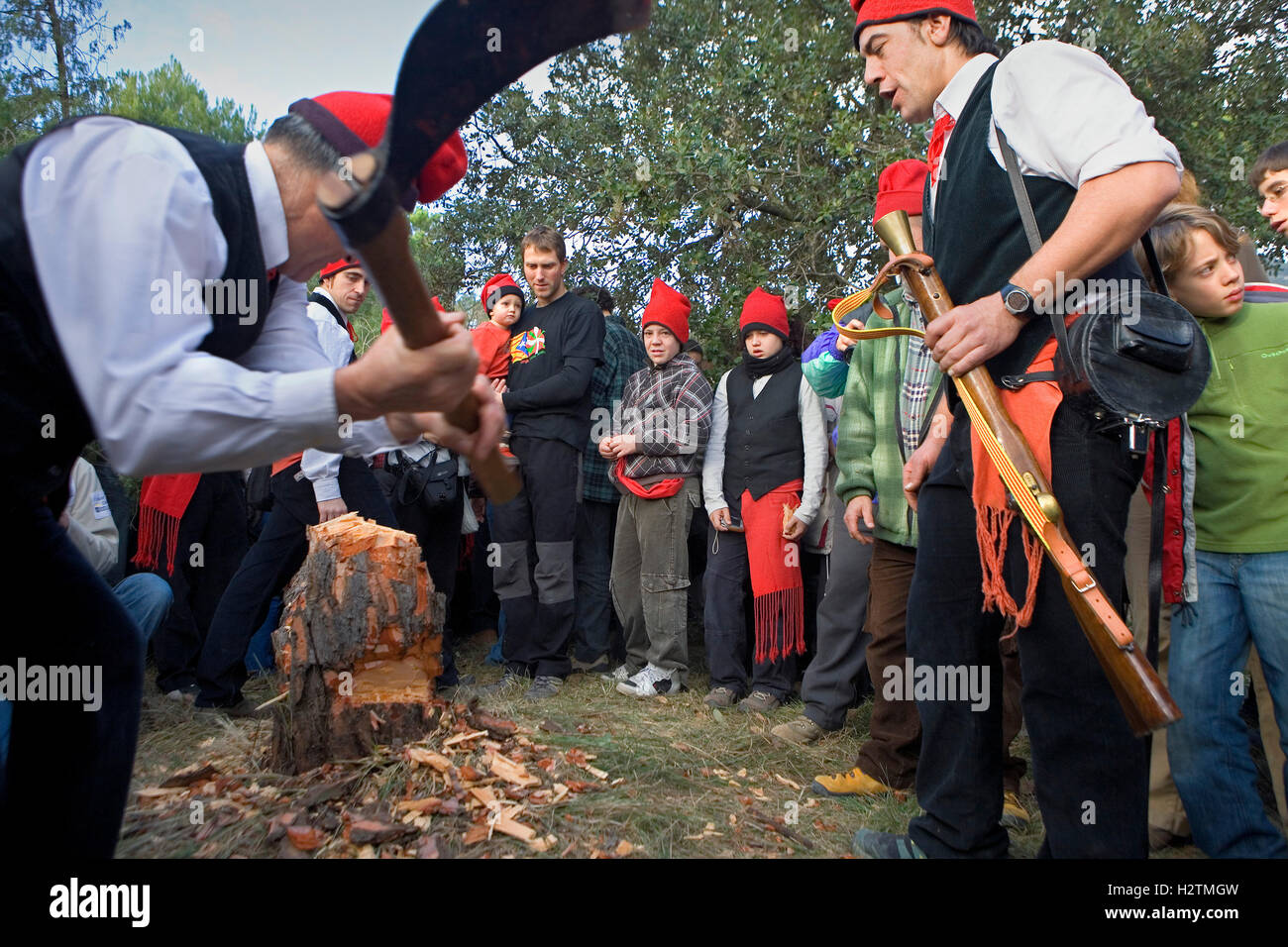 Pine festival, Centelles, Barcelona province, Catalonia, Spain Stock ...