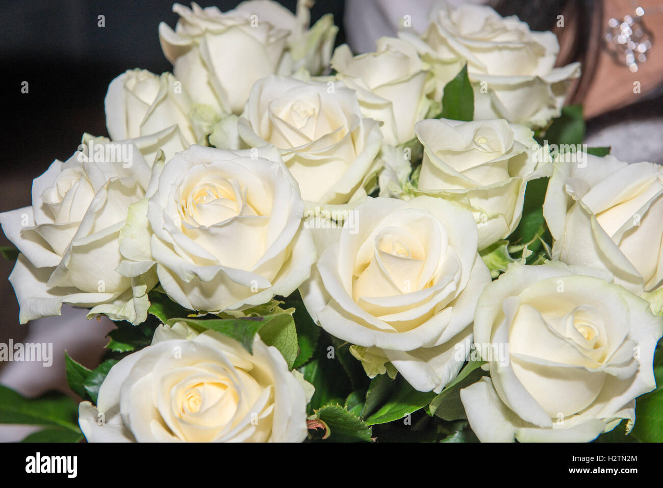 Beautiful white roses hi-res stock photography and images - Alamy