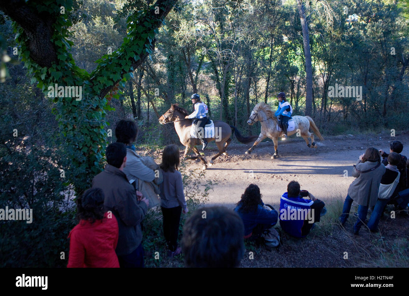 `Festa dels Traginers´, Feast of the muleteer in Balsareny. Horse race ...