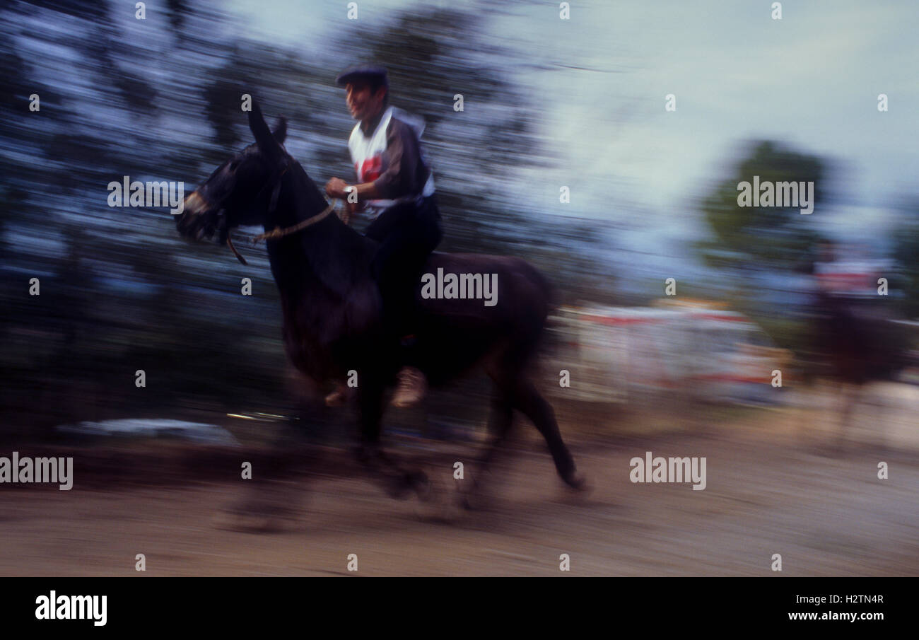 `Festa dels Traginers´, Feast of the muleteer in Balsareny. Horse race ...