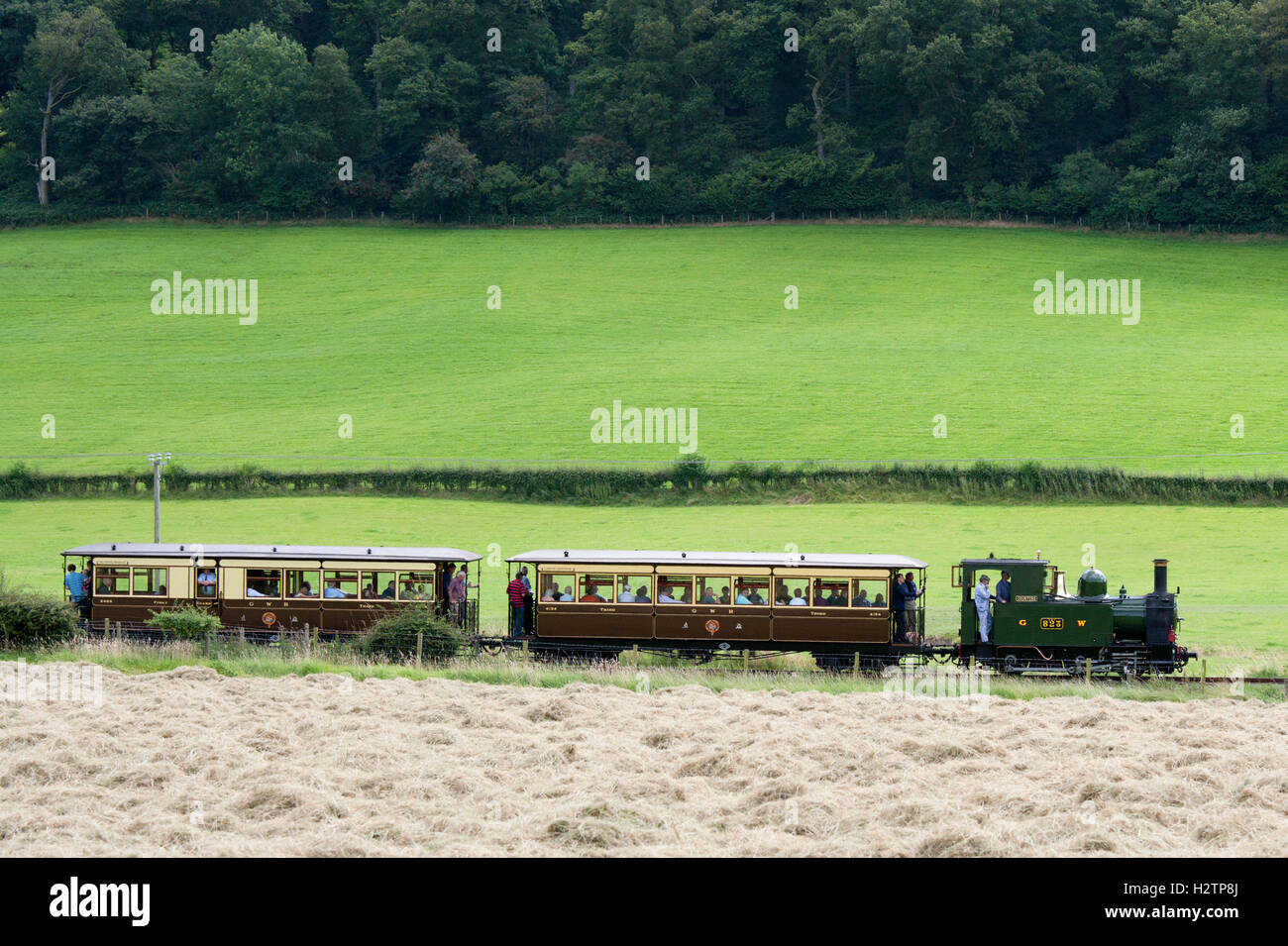 Welshpool and Llanfair Railway train near Golfa Stock Photo - Alamy