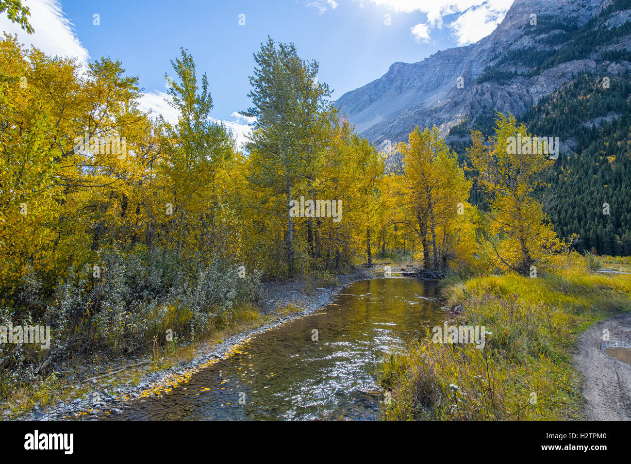 Frank slide hi-res stock photography and images - Alamy