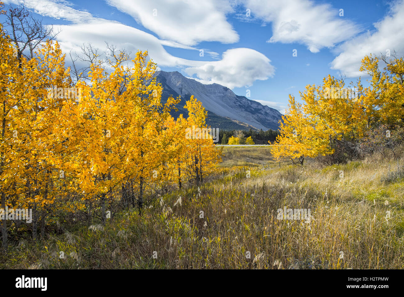 Turtle Mountain in the Crowsnest Pass, Alberta Canada Stock Photo - Alamy