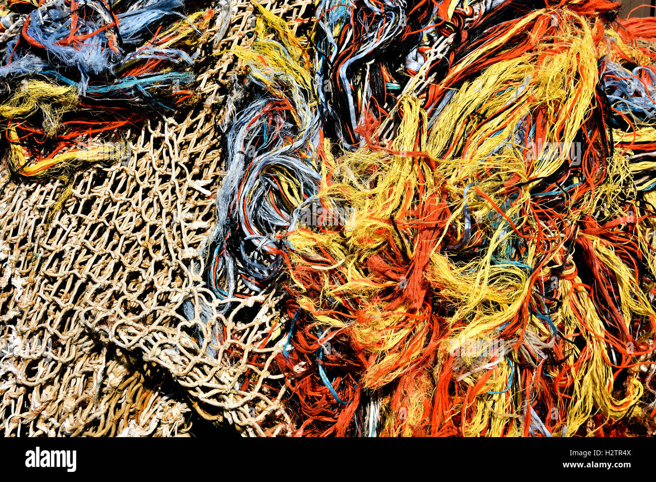 Texel Netherlands boat Oudeschild port harbor boat Wadden Sea Waddenzee ...