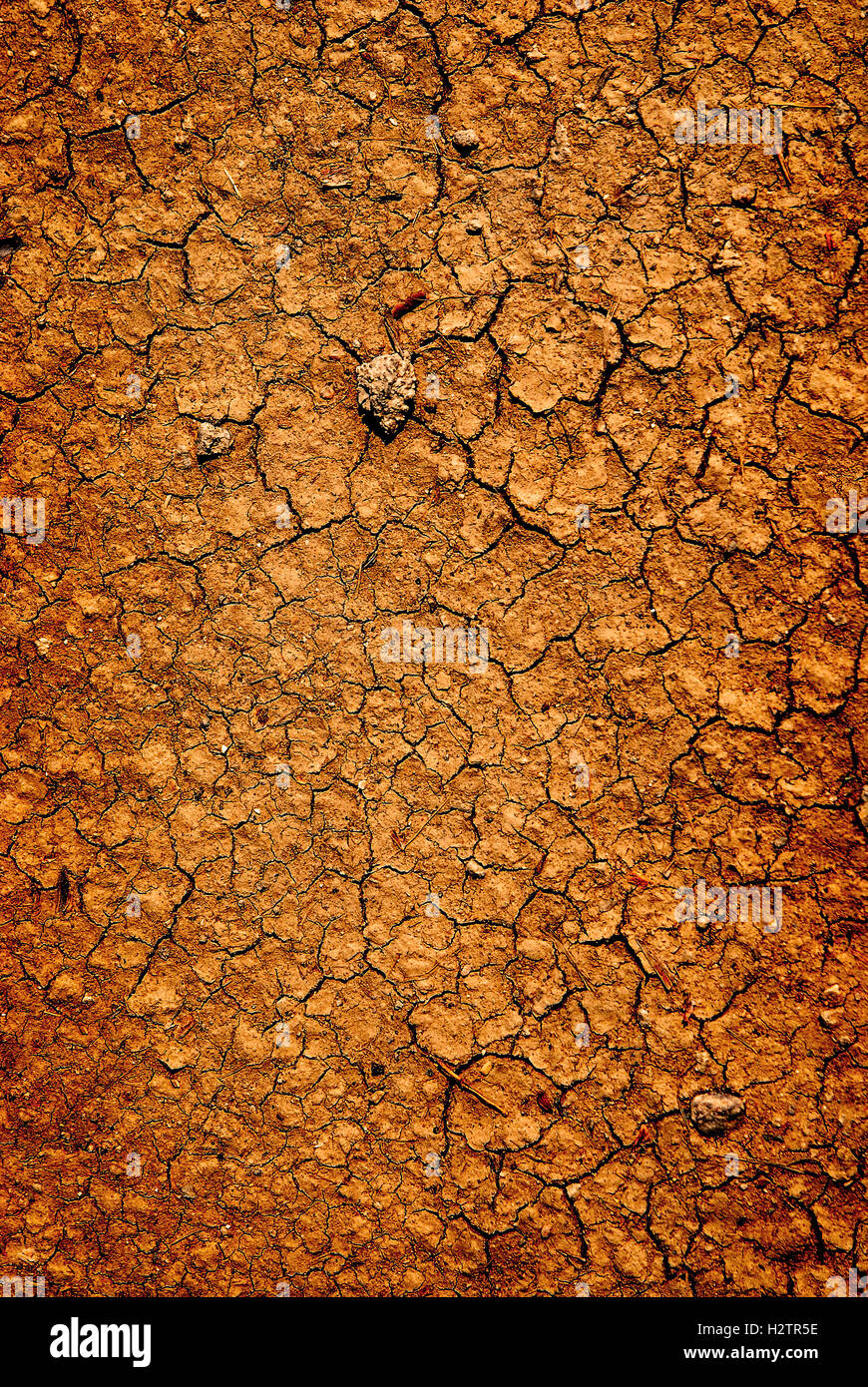 Dry ground in desert hi-res stock photography and images - Alamy