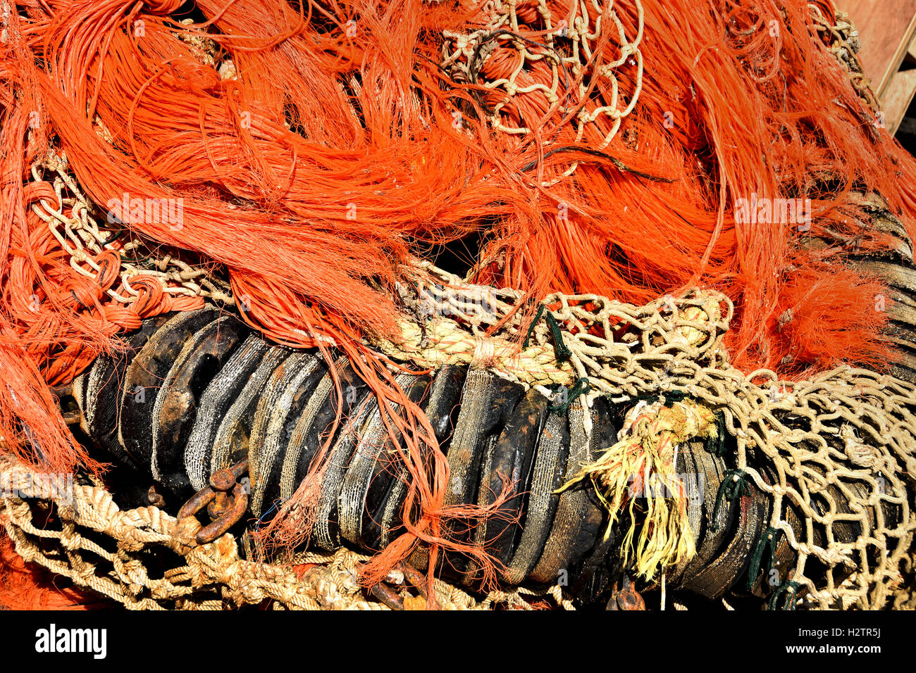 Texel Netherlands boat Oudeschild port harbor boat Wadden Sea Waddenzee ...