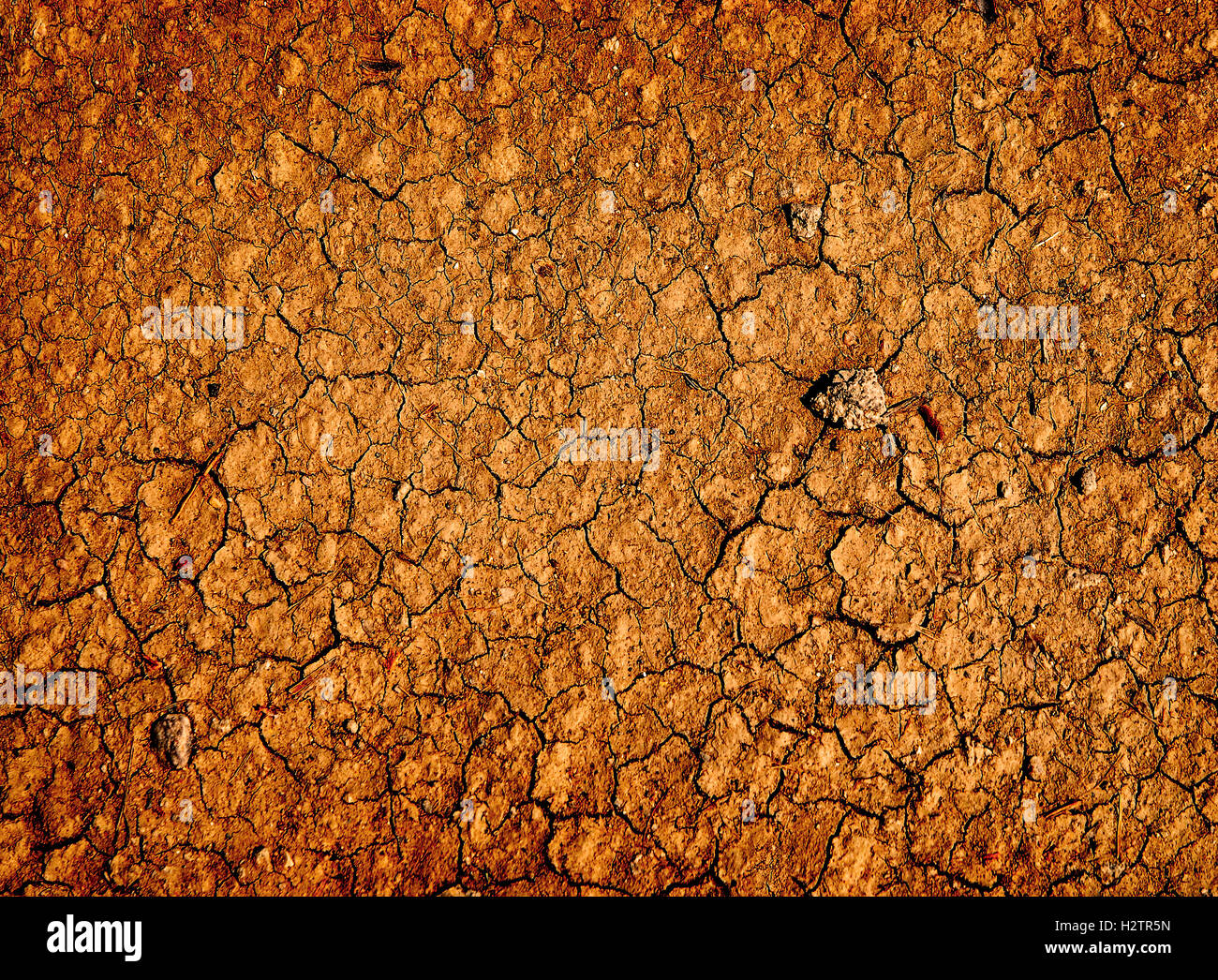 Dry ground in desert hi-res stock photography and images - Alamy