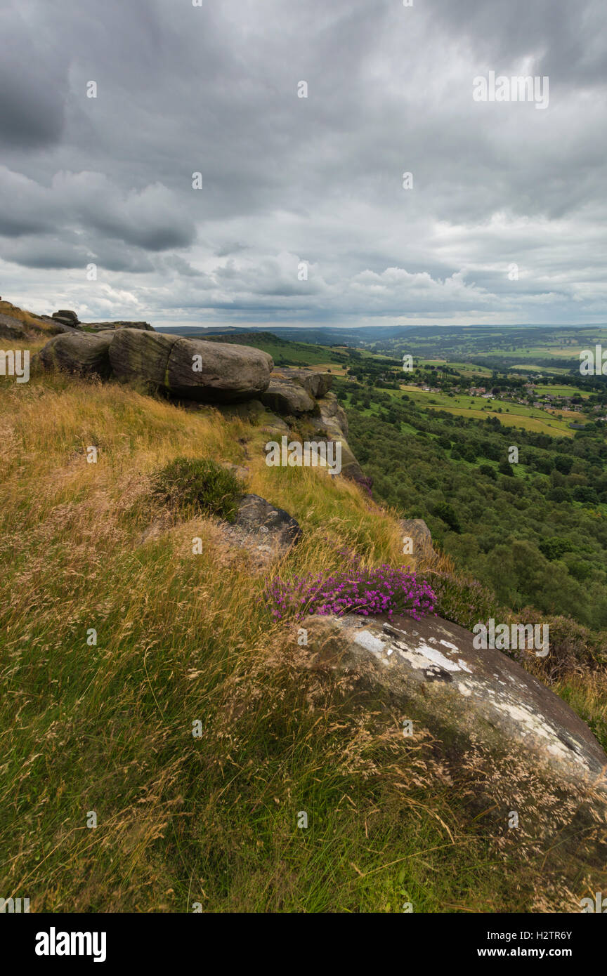 Heather rock stone hi-res stock photography and images - Alamy