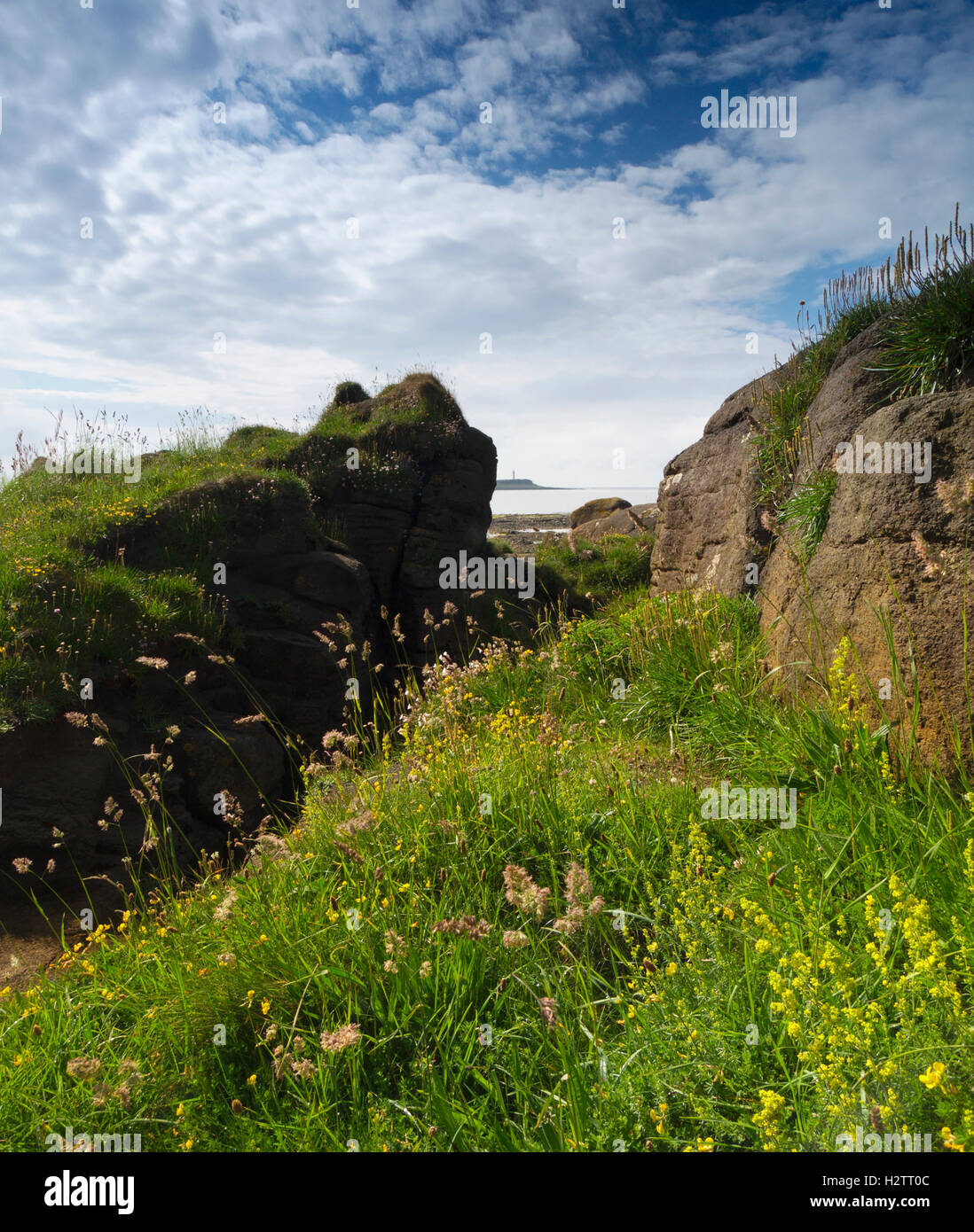 Isle of arran rocks hi-res stock photography and images - Alamy