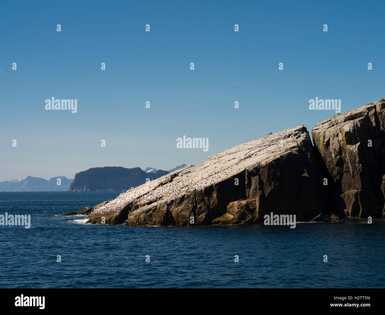 Seagulls sunning on the rocks on the south end of Natoa Island, Kenai ...