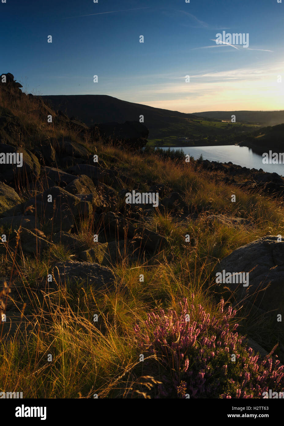 Dovestone Reservoir with sunset and heather from below Great Dove Stone ...