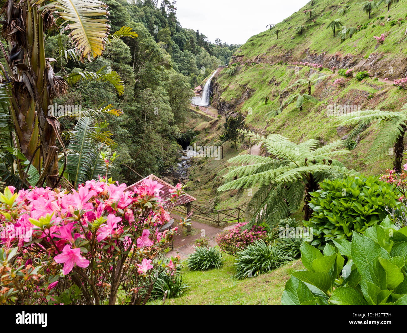 Semi Tropical High Resolution Stock Photography and Images - Alamy